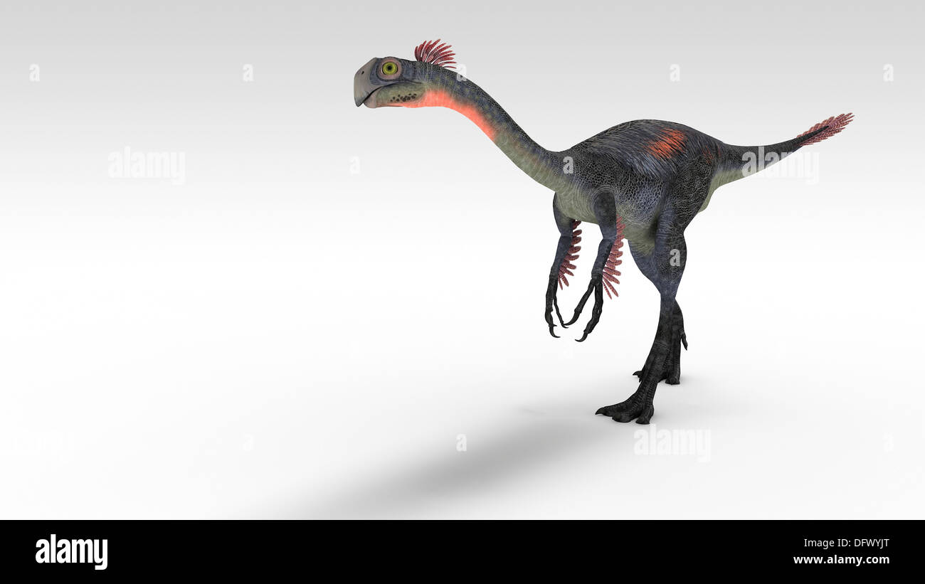 Gigantoraptor erlianensis hi-res stock photography and images - Alamy