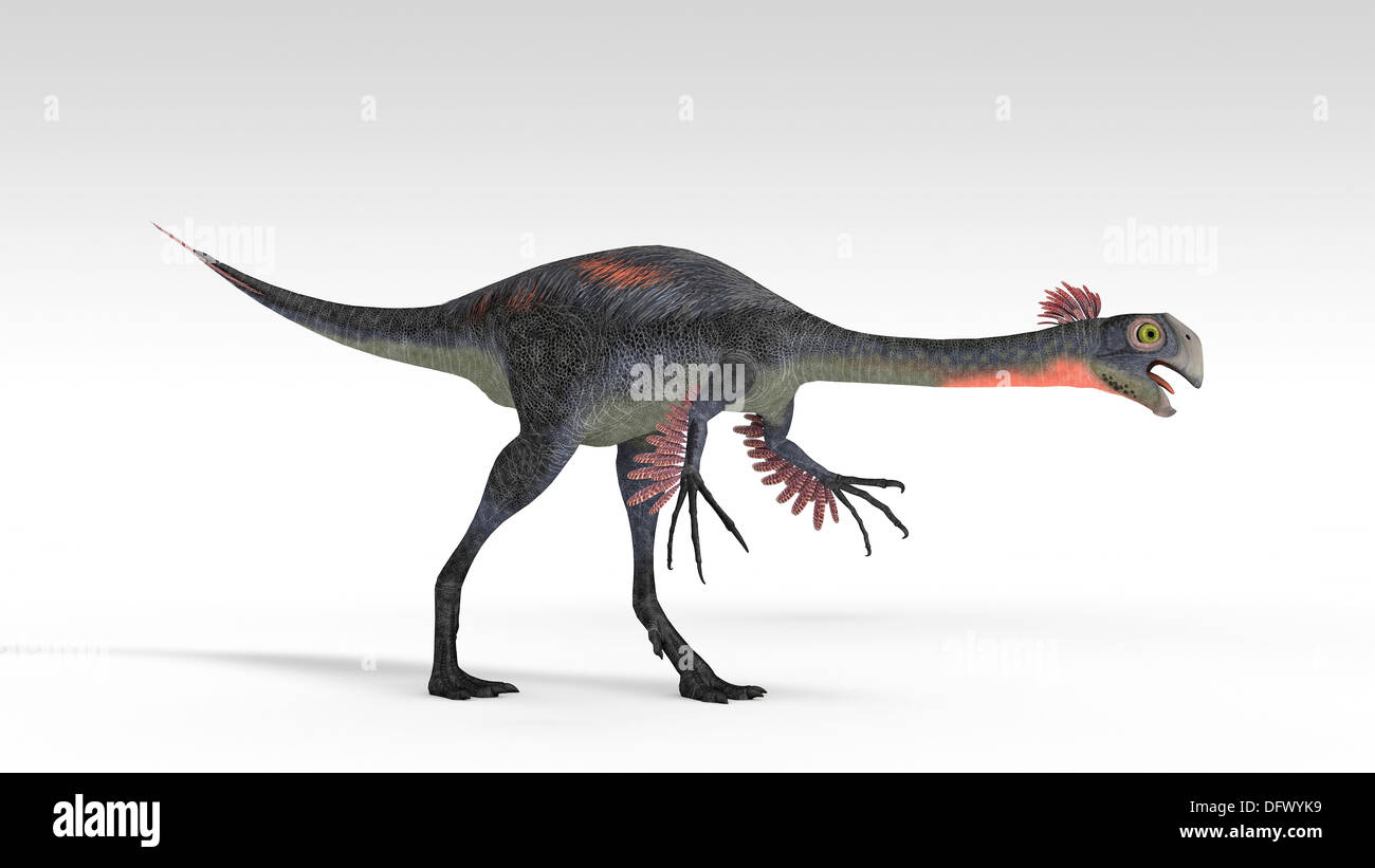Gigantoraptor erlianensis hi-res stock photography and images - Alamy