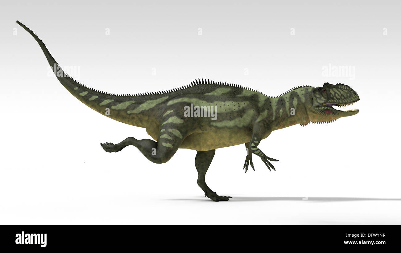 Yangchuanosaurus, dinosaur, white background Stock Photo - Alamy
