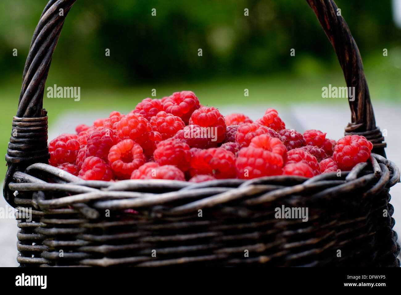 Basket raspberries and fruit hi-res stock photography and images - Alamy