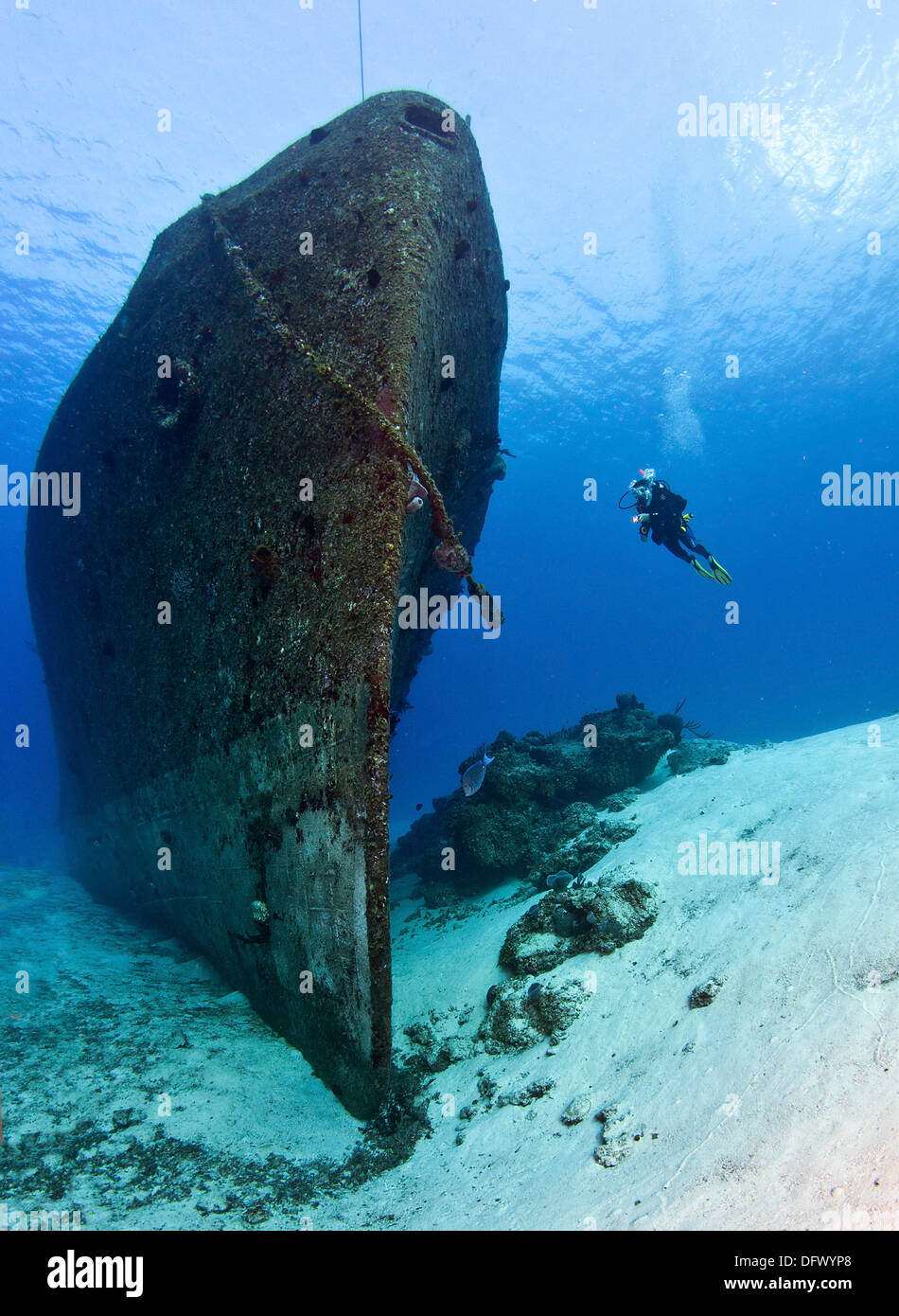 Diver exploring the ARM General Felipe Xicoténcatl (C53) shipwreck in ...