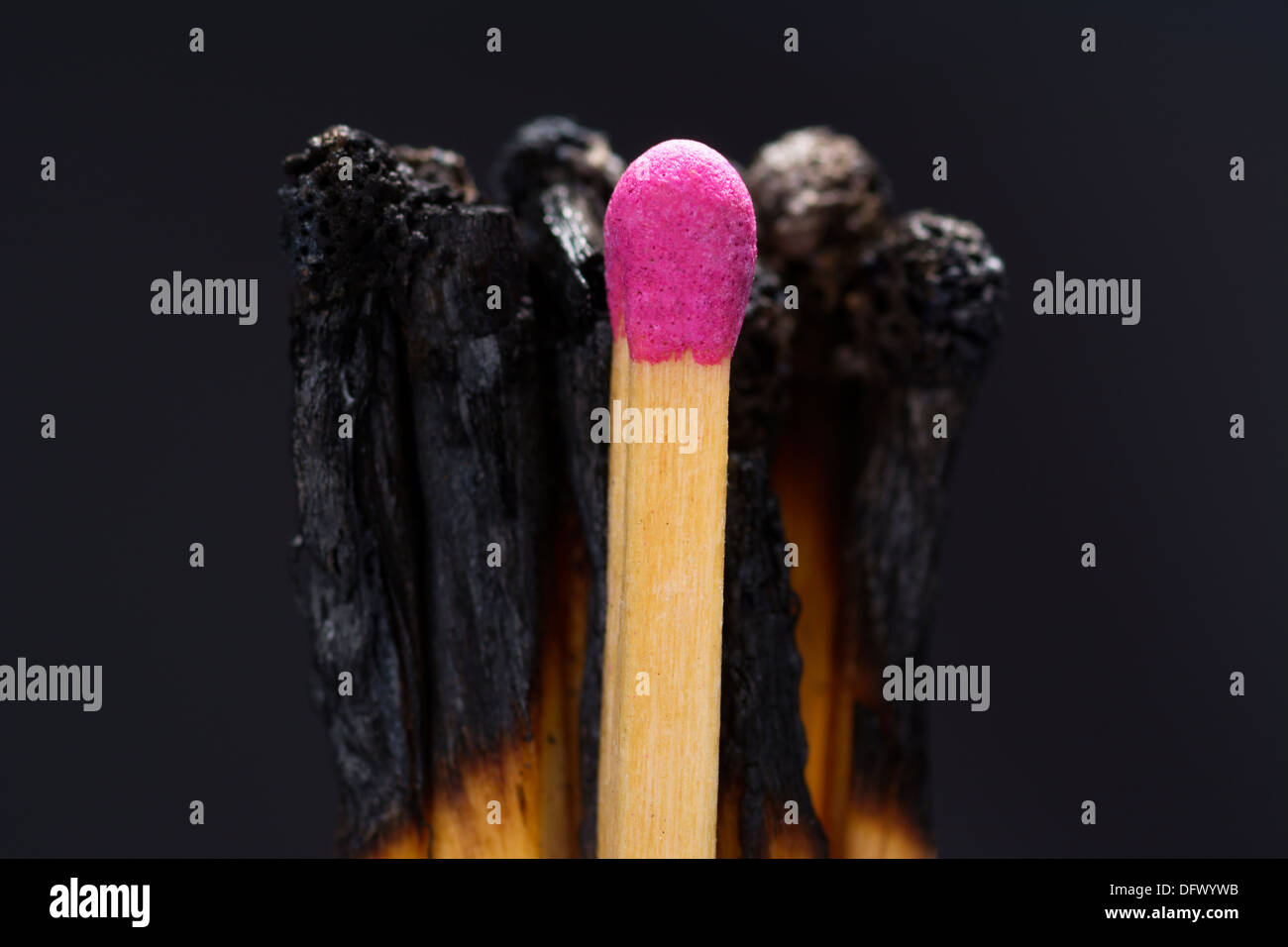 Concept photo showing burned out matches with one untouched one ...