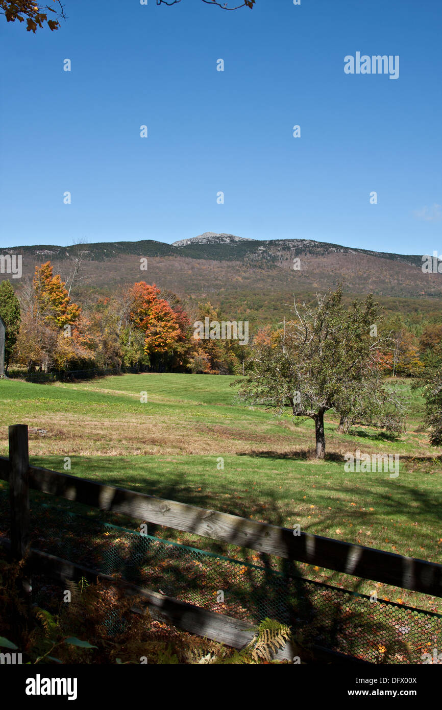 Fall foliage in northern New England. Each autumn the deciduous trees ...