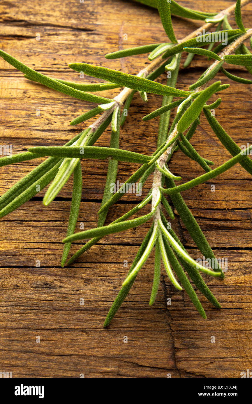 Sprig of rosemary hi-res stock photography and images - Alamy