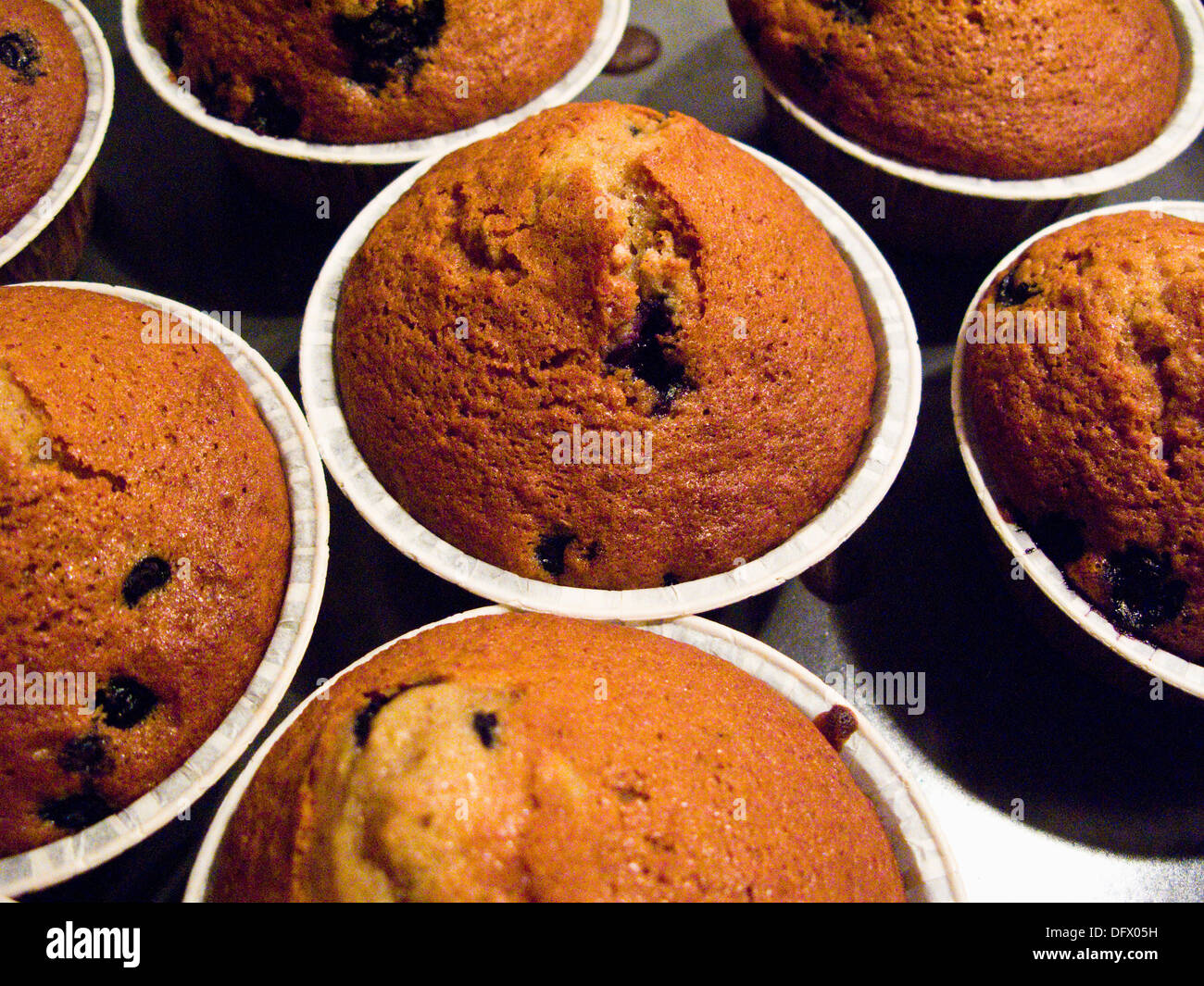 Muffins hi-res stock photography and images - Alamy