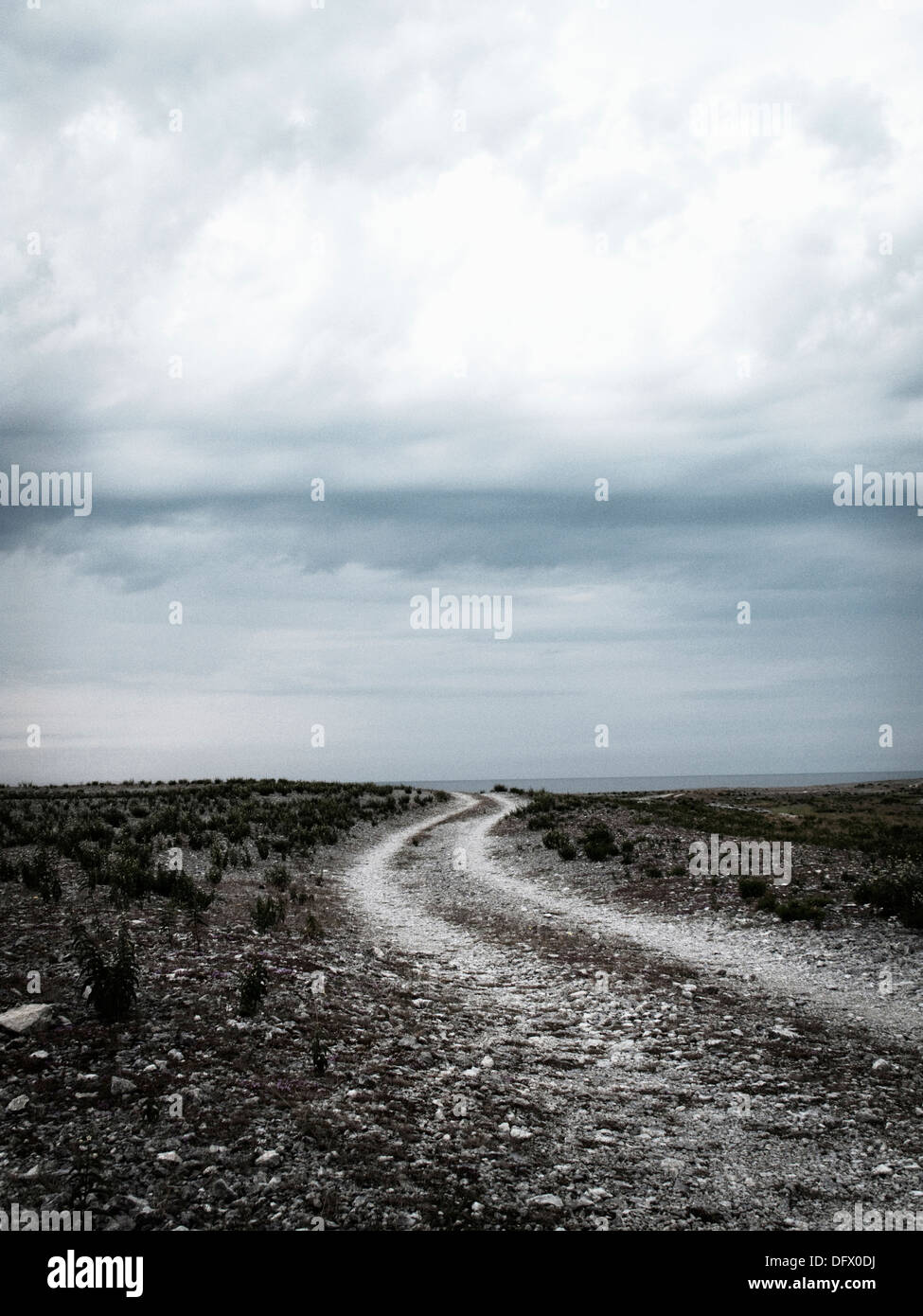 Winding Path Through Desolate Landscape to Sea with Ominous Gray Sky ...