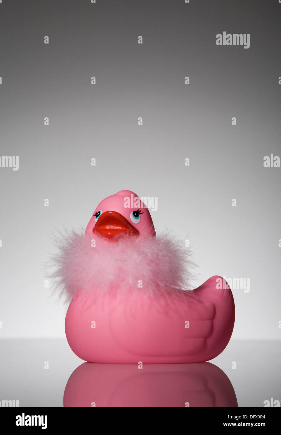 Pink Rubber Duck Stock Photo - Alamy