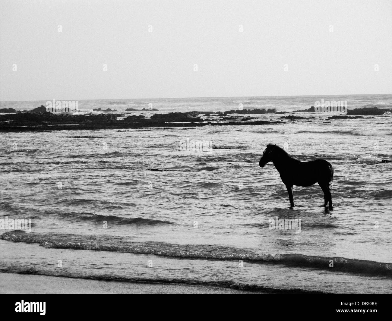 Surf b Black and White Stock Photos & Images - Alamy