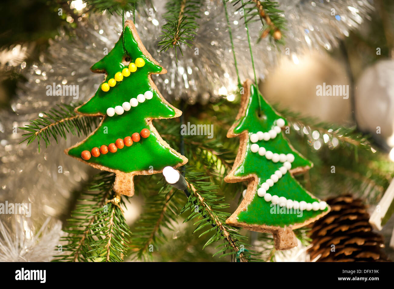 Mini Schnauzer as Santa Stock Photo - Alamy
