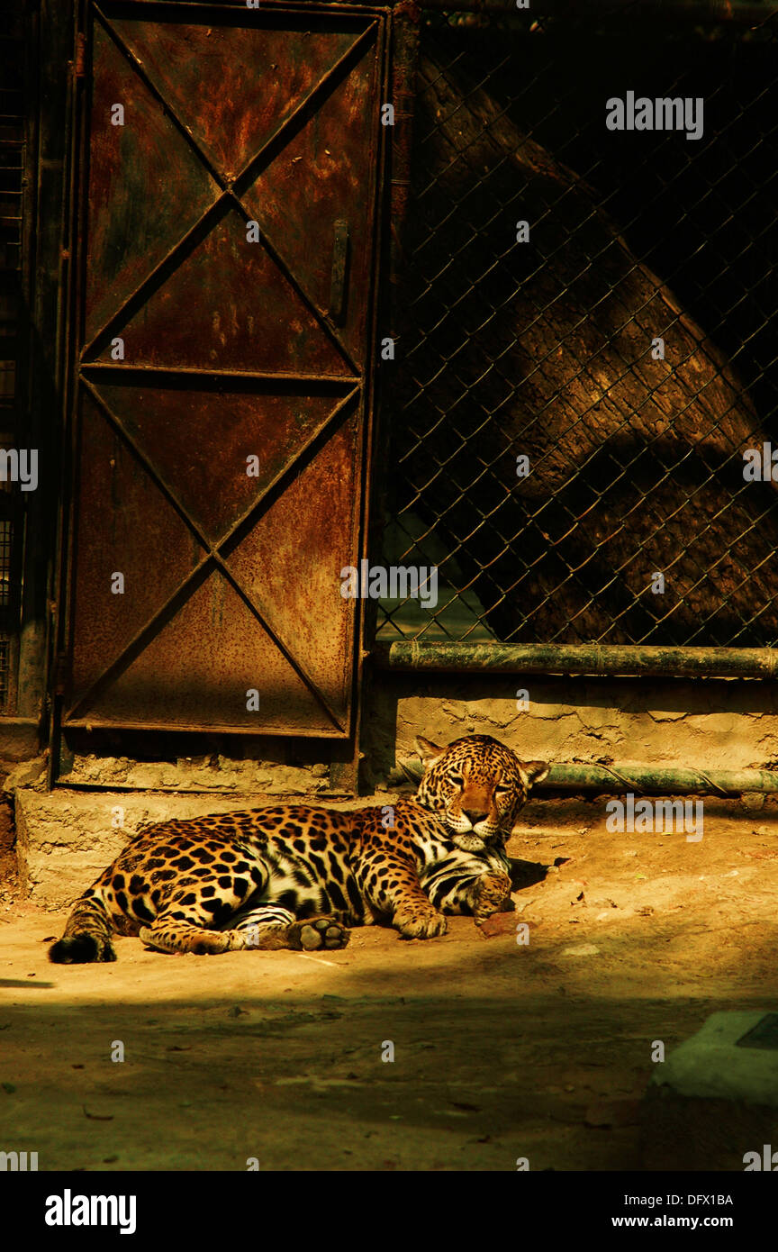 National awakening hi-res stock photography and images - Alamy