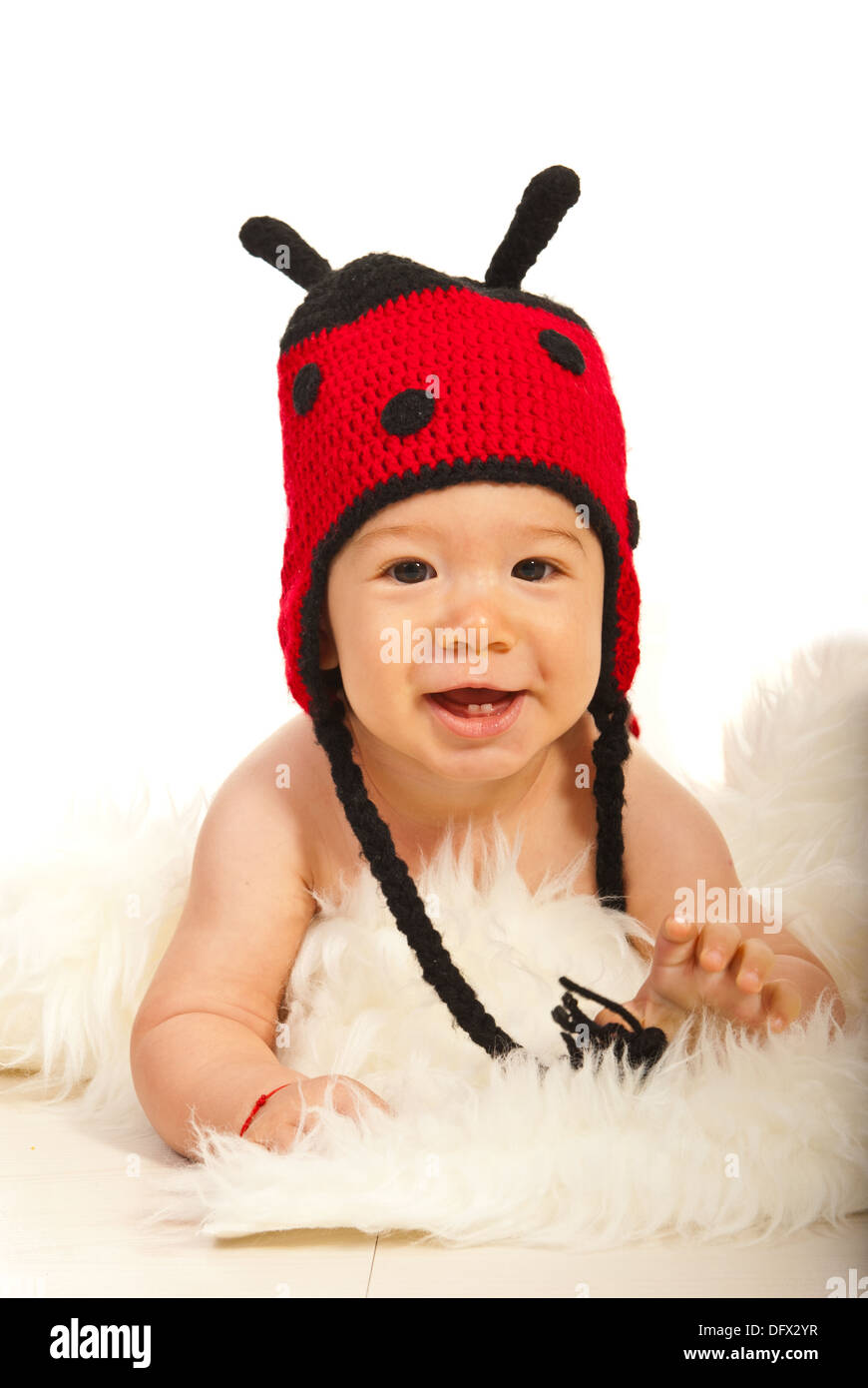 Baby ladybug hi-res stock photography and images - Alamy