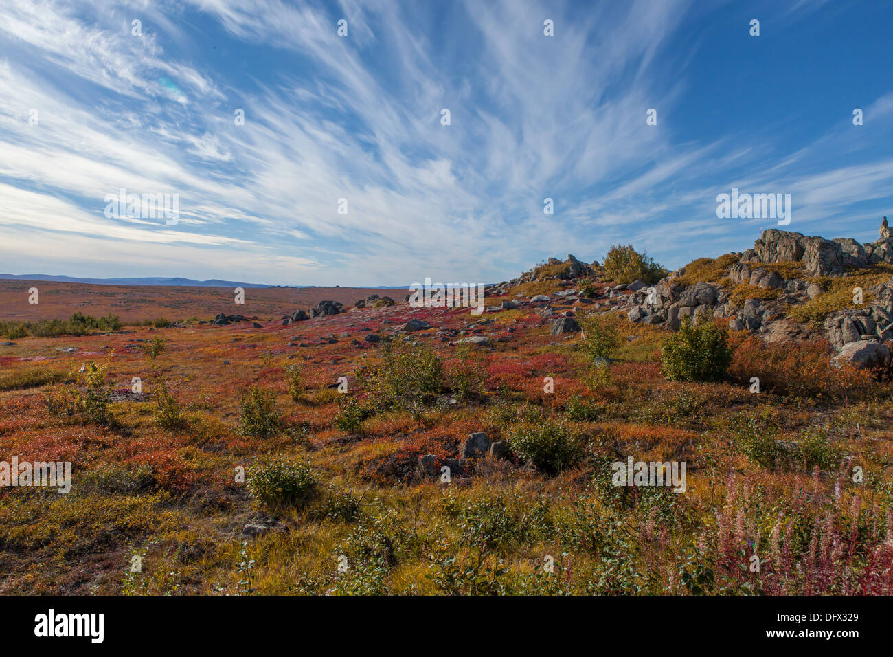 Alaskan arctic landscape in fall colors Stock Photo - Alamy