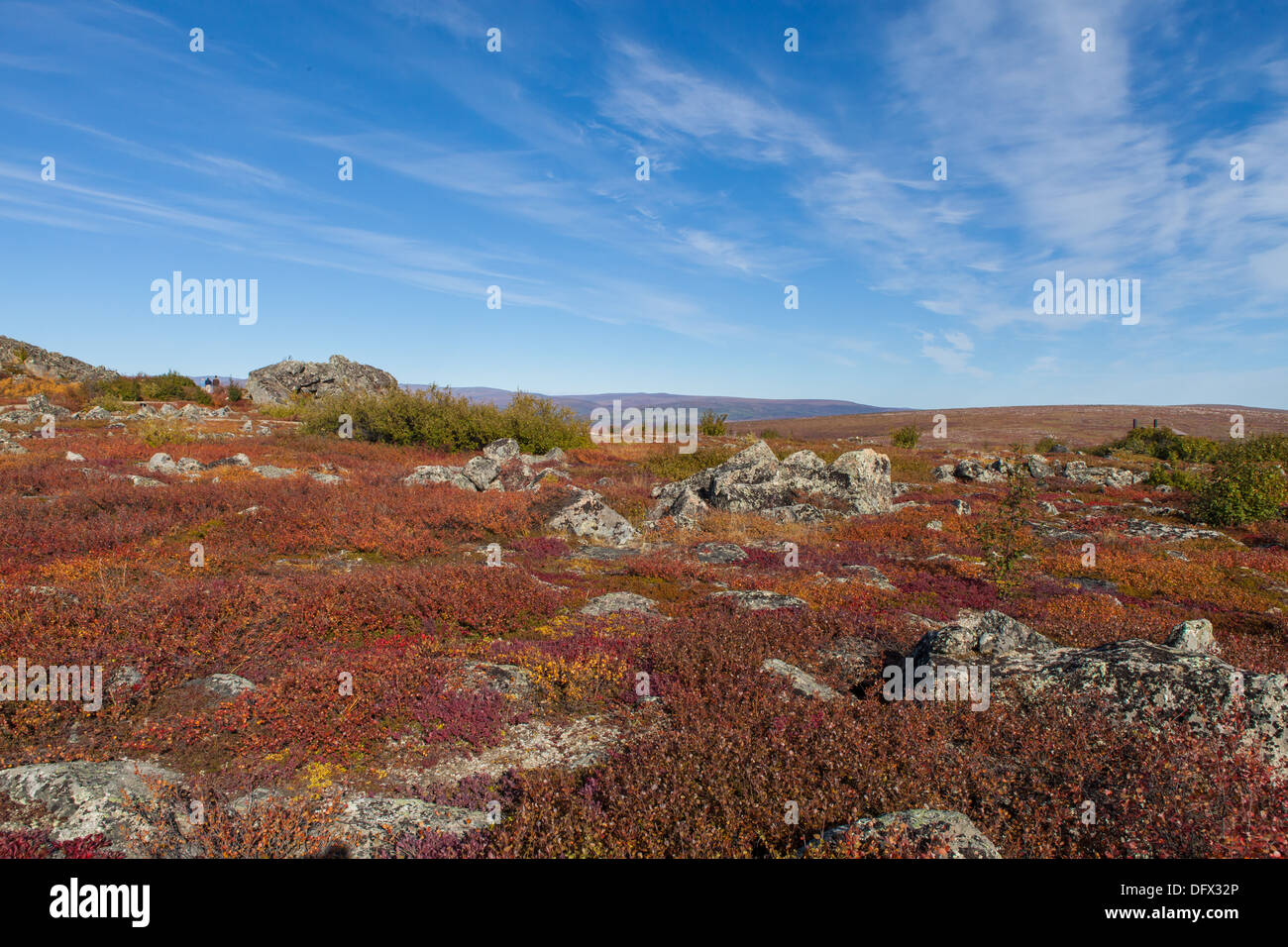 Alaskan arctic landscape in fall colors Stock Photo - Alamy