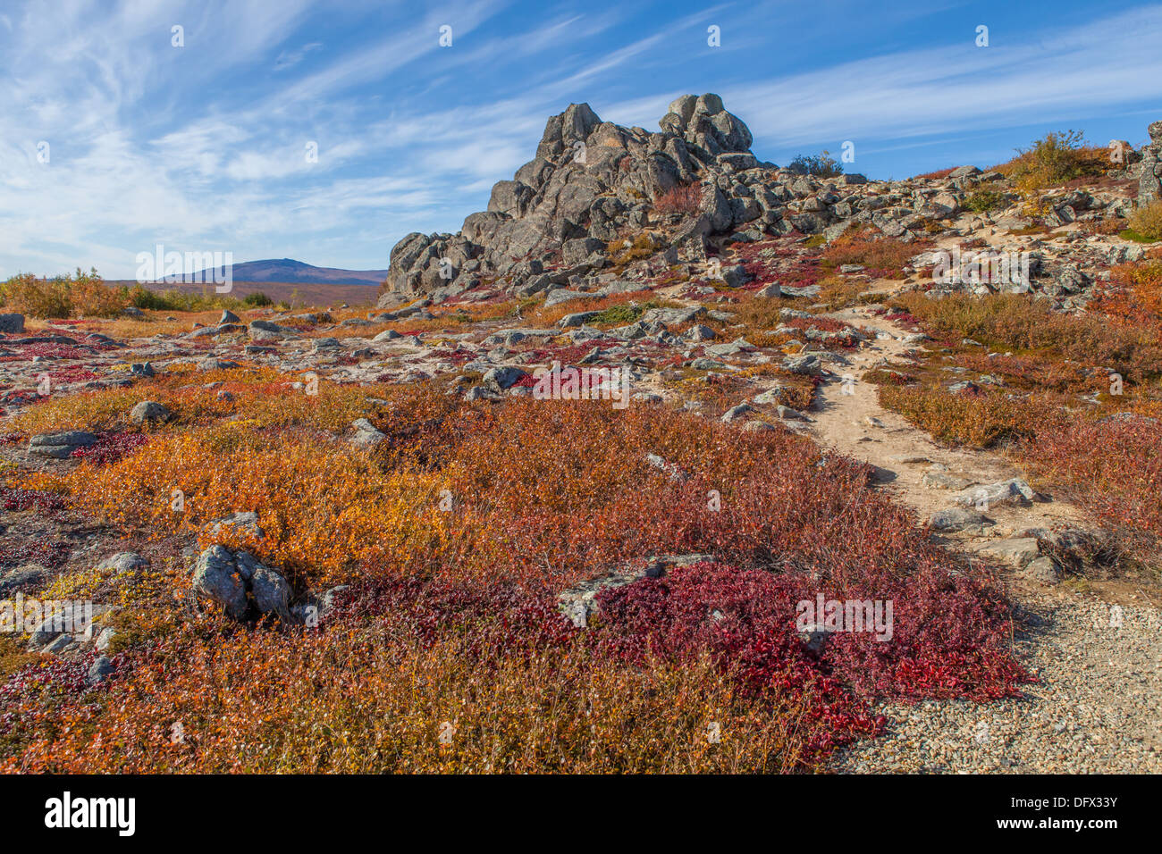 Alaskan arctic landscape in fall colors Stock Photo - Alamy