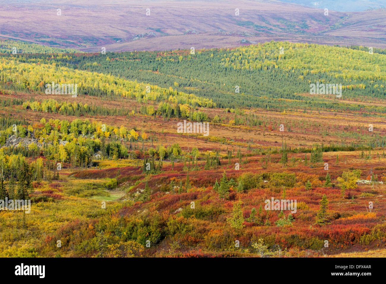 Alaskan arctic landscape in fall colors Stock Photo - Alamy