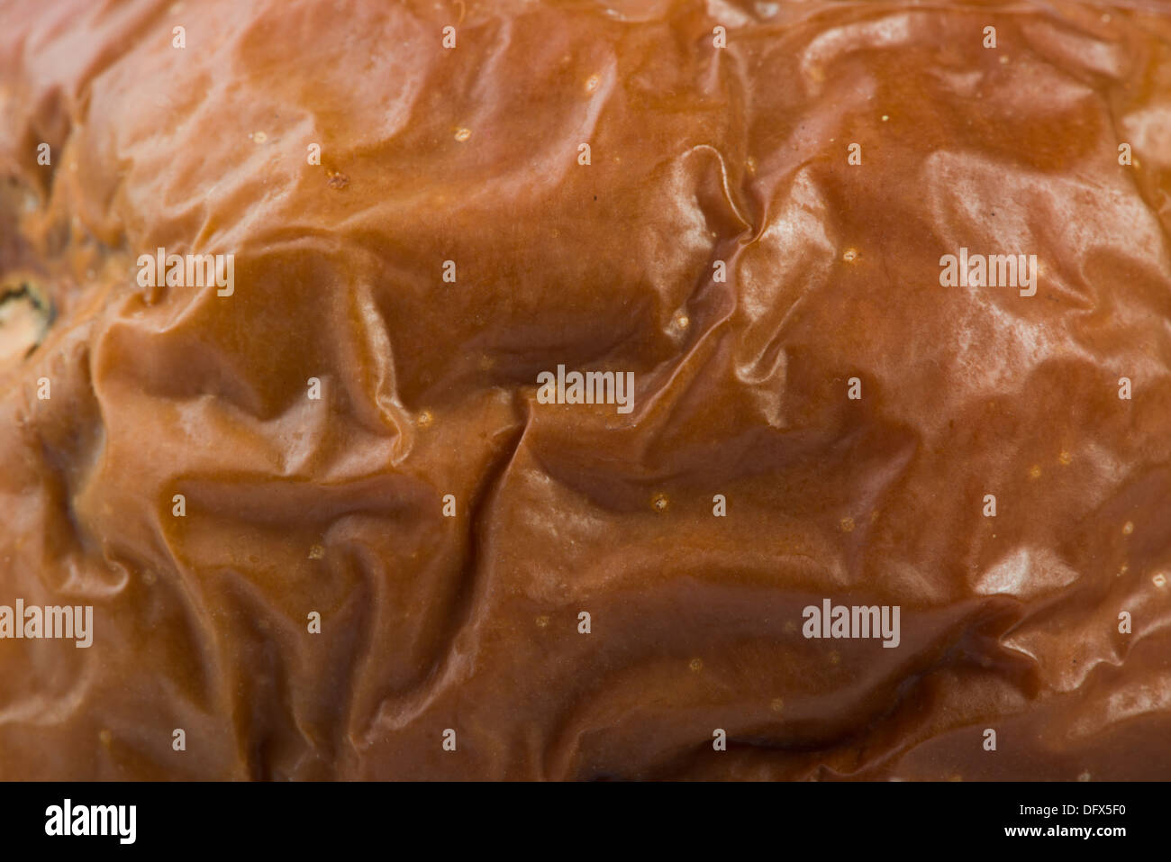 Rotten part hi-res stock photography and images - Alamy