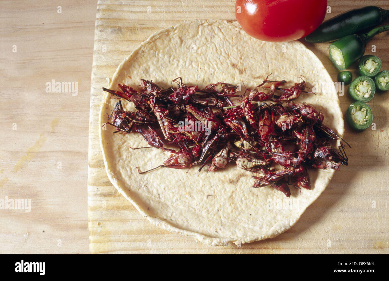 Fried locusts hi-res stock photography and images - Alamy