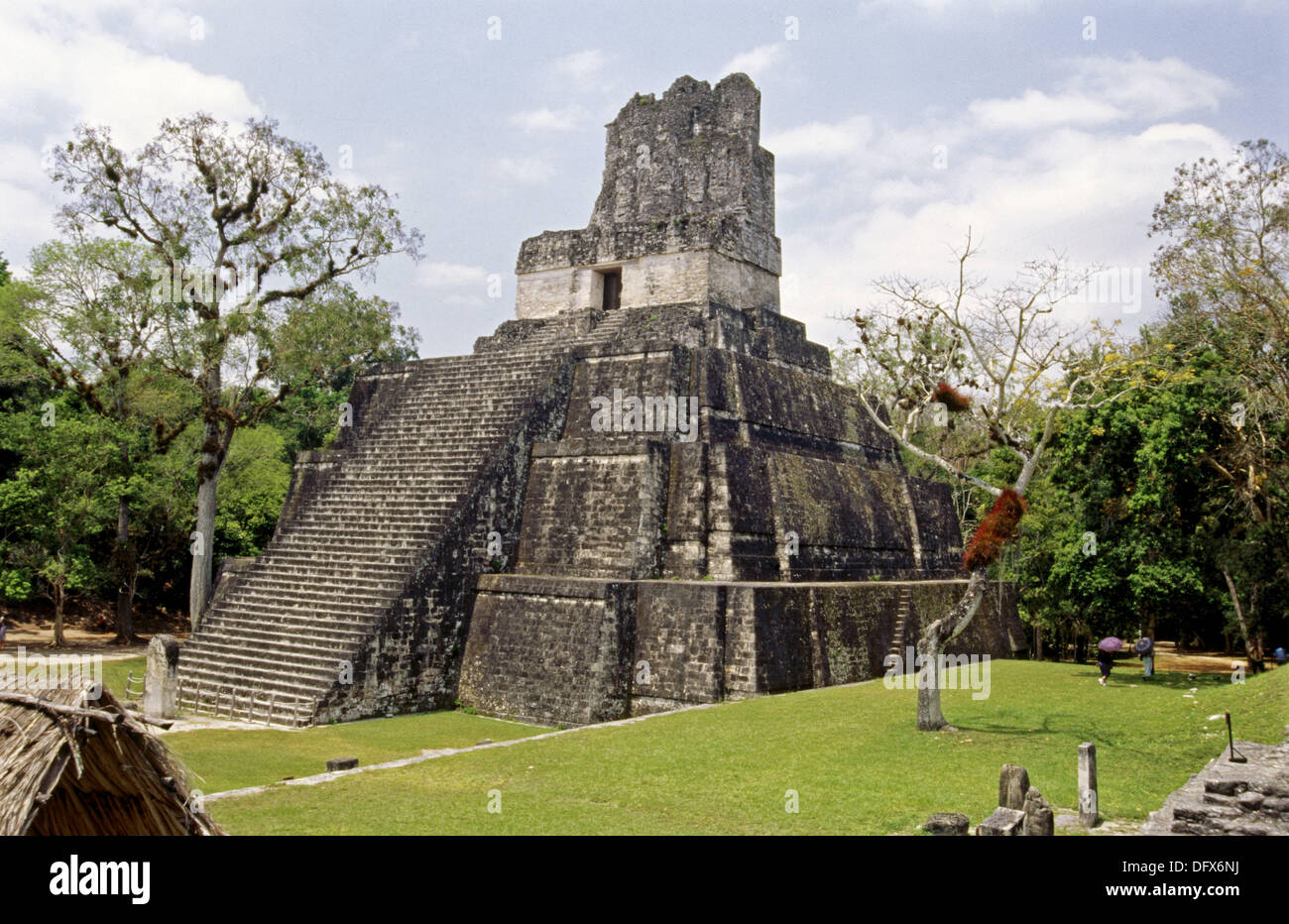 Mayan ruins of Tikal. Guatemala Stock Photo - Alamy
