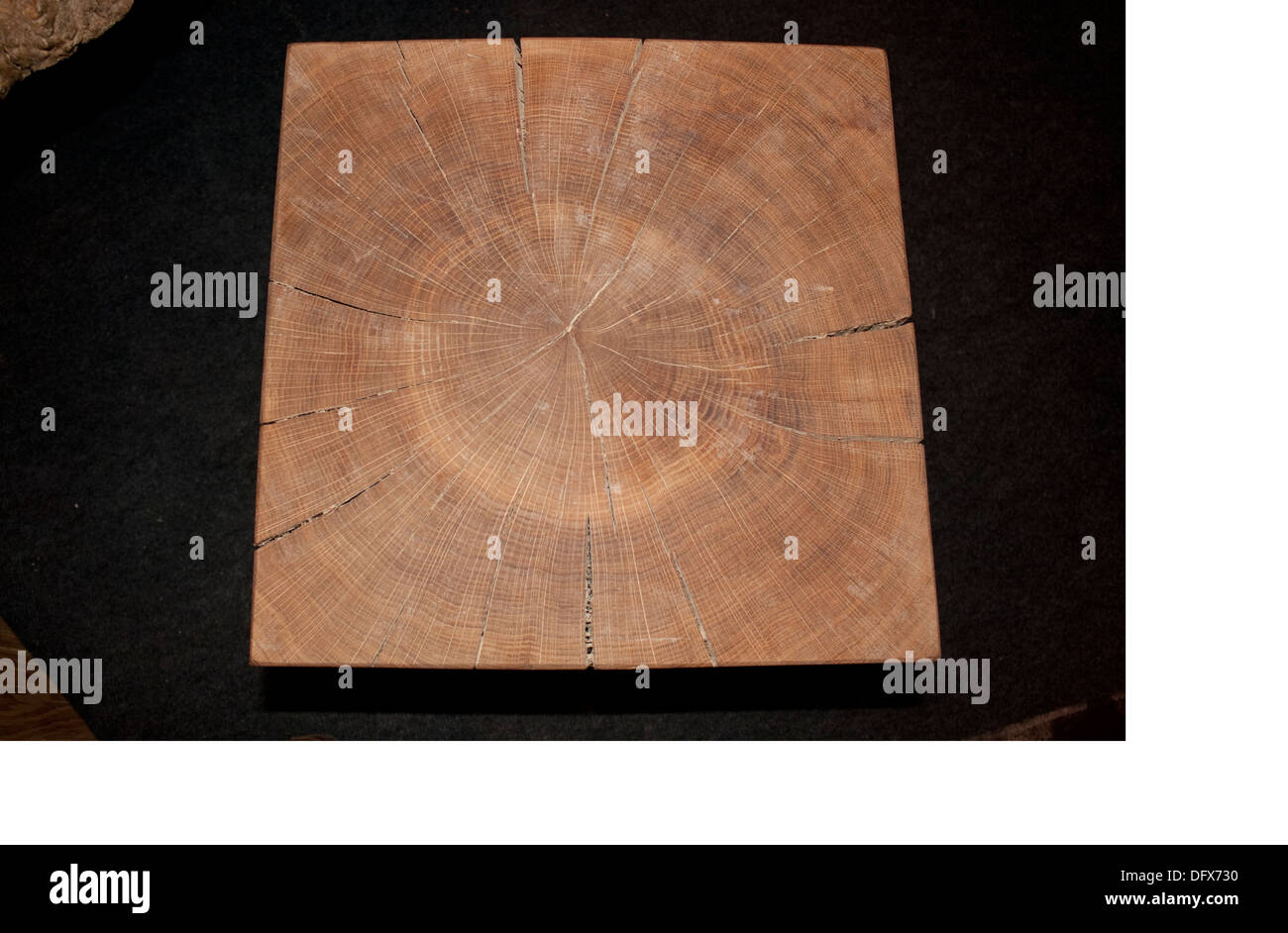 Oak cross section hi-res stock photography and images - Alamy