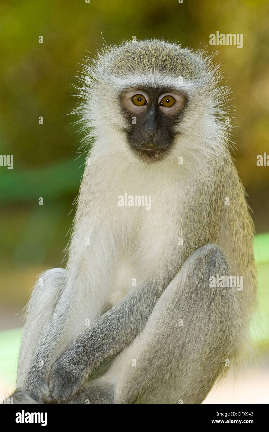 Berg En Dal High Resolution Stock Photography and Images - Alamy