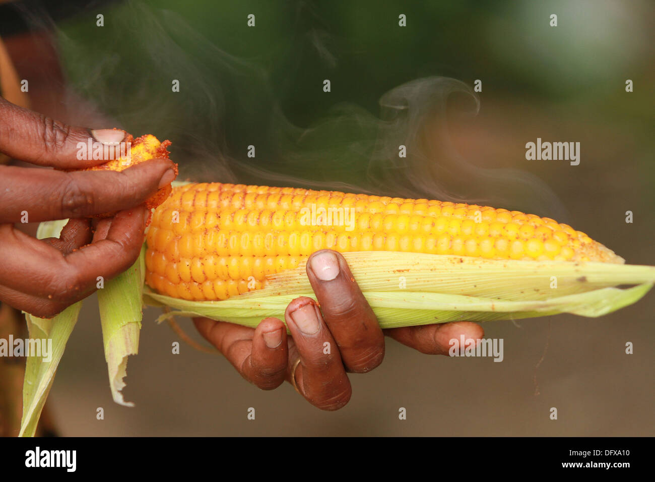steamed sweet corn Stock Photo - Alamy