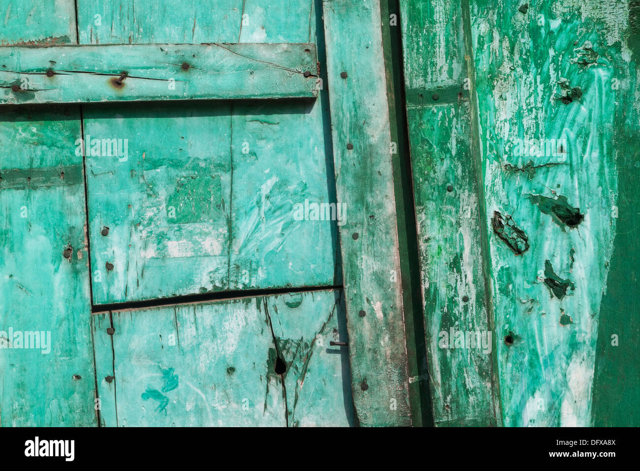 India, Rajasthan, Jaipur, old green-painted door, tarnished texture ...