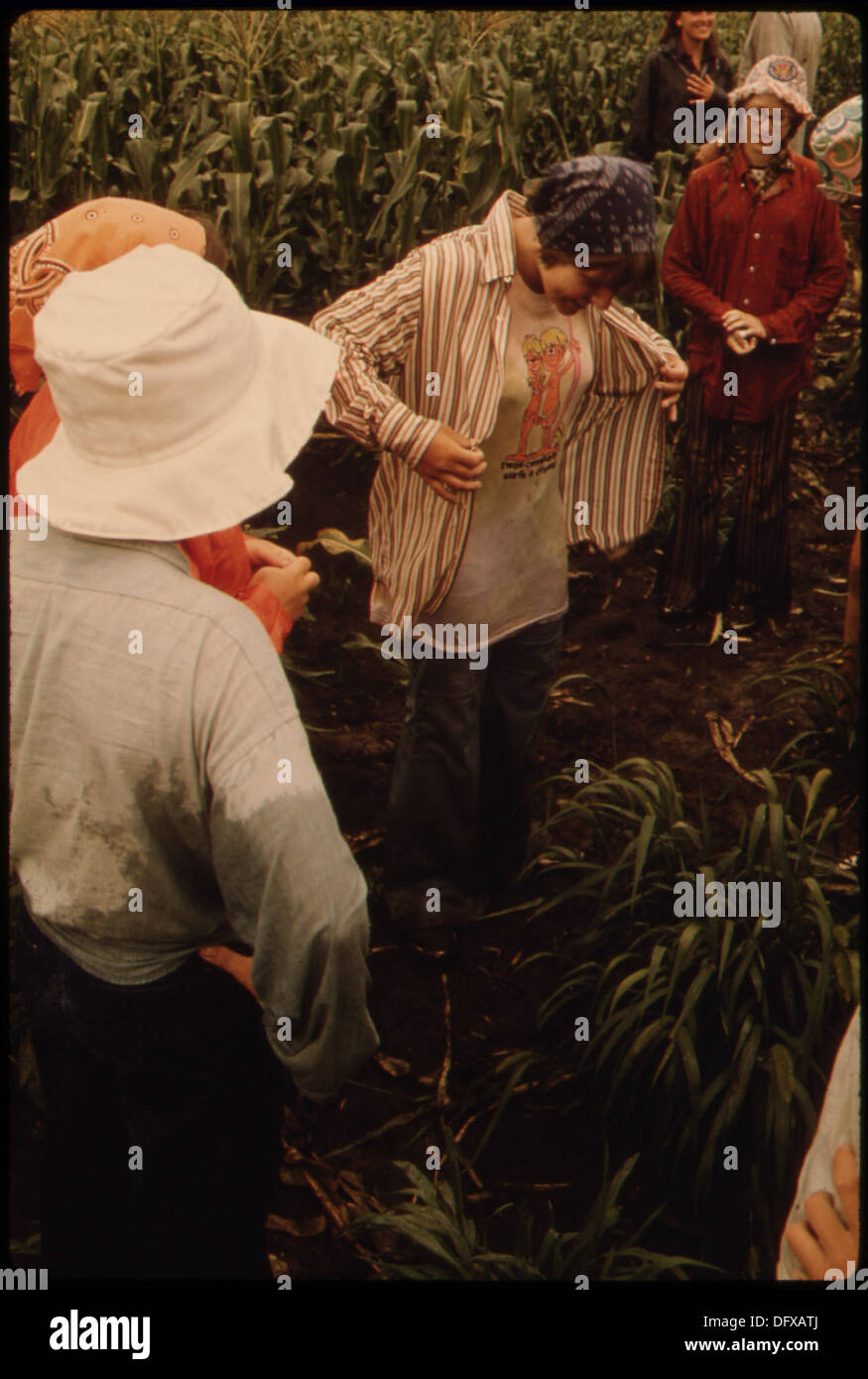 Detasseling corn hi-res stock photography and images - Alamy