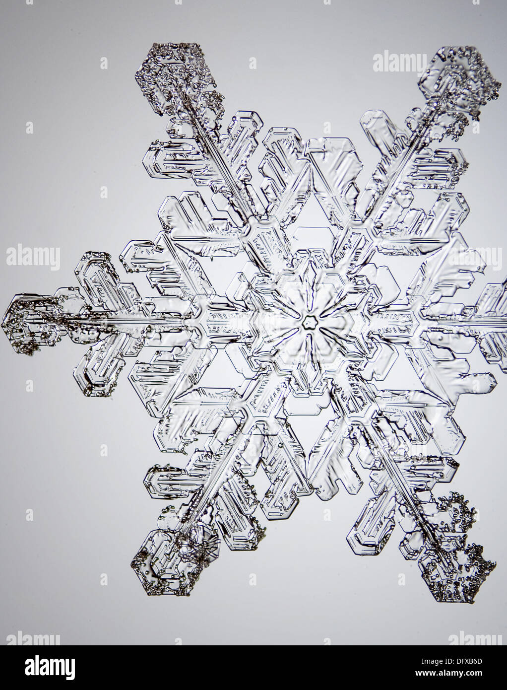 Microscopy crystal hi-res stock photography and images - Alamy