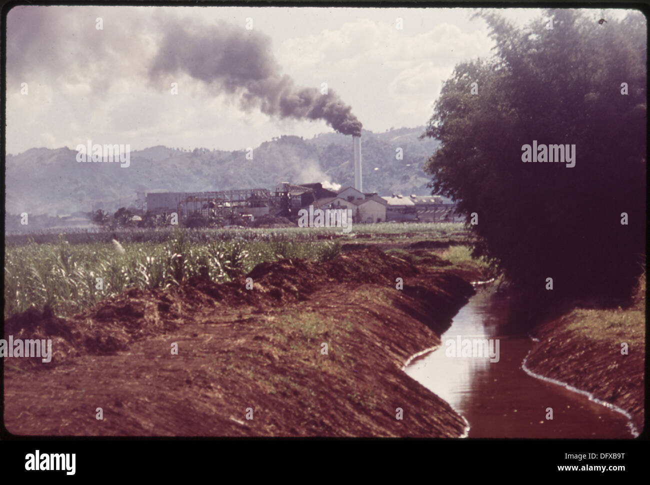 The photograph shows a sugar refinery, where raw sugar is processed ...