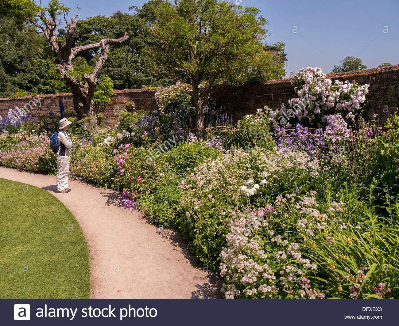 Sunny Flower Border High Resolution Stock Photography and Images - Alamy