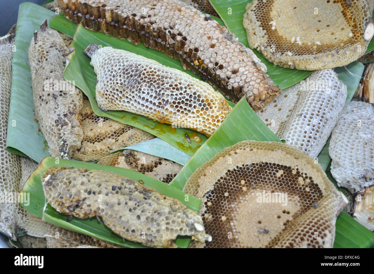Bangkok (Thailand): honey in chunks sold at the Weekend Market Stock ...