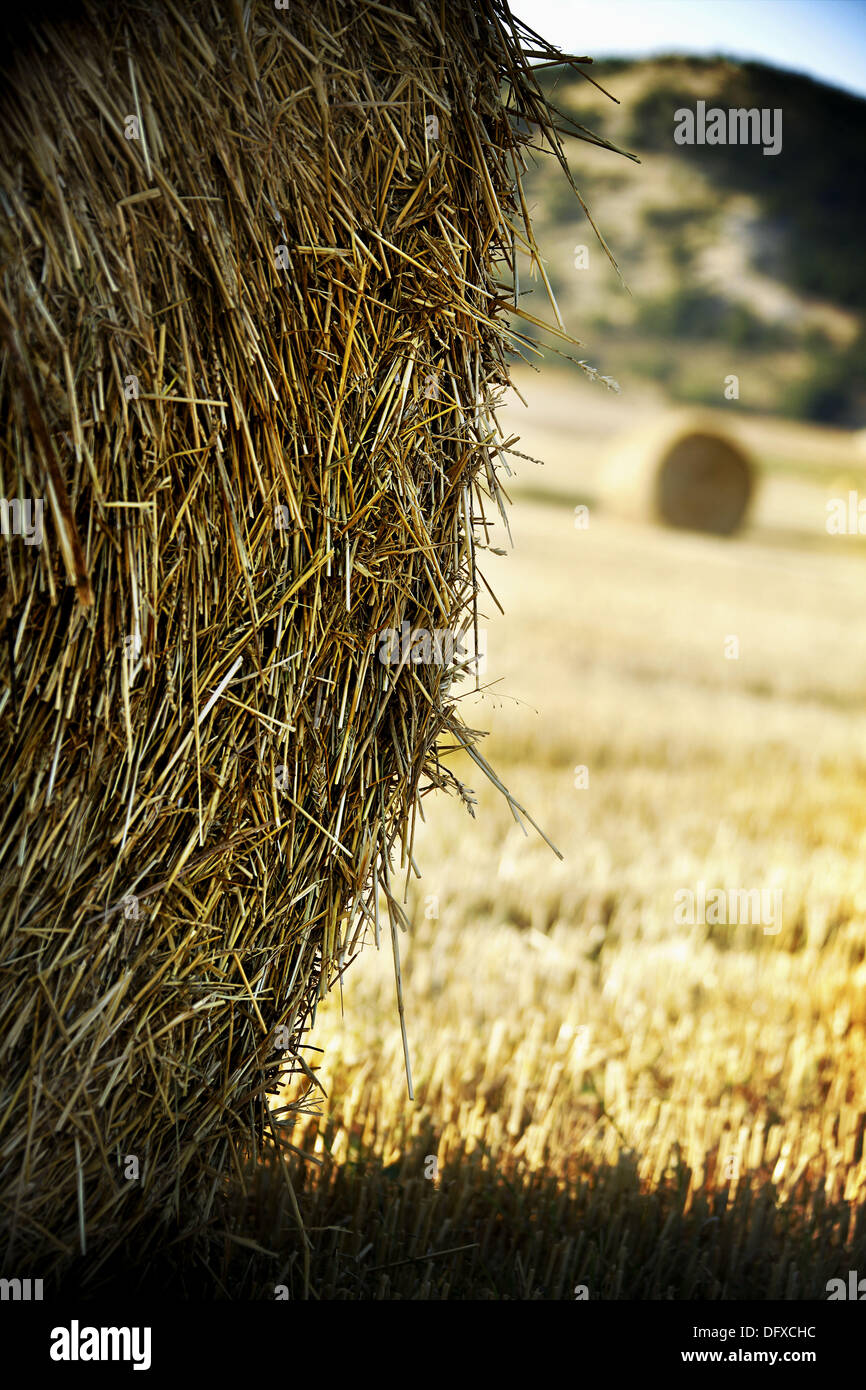 Straw ball hi-res stock photography and images - Alamy