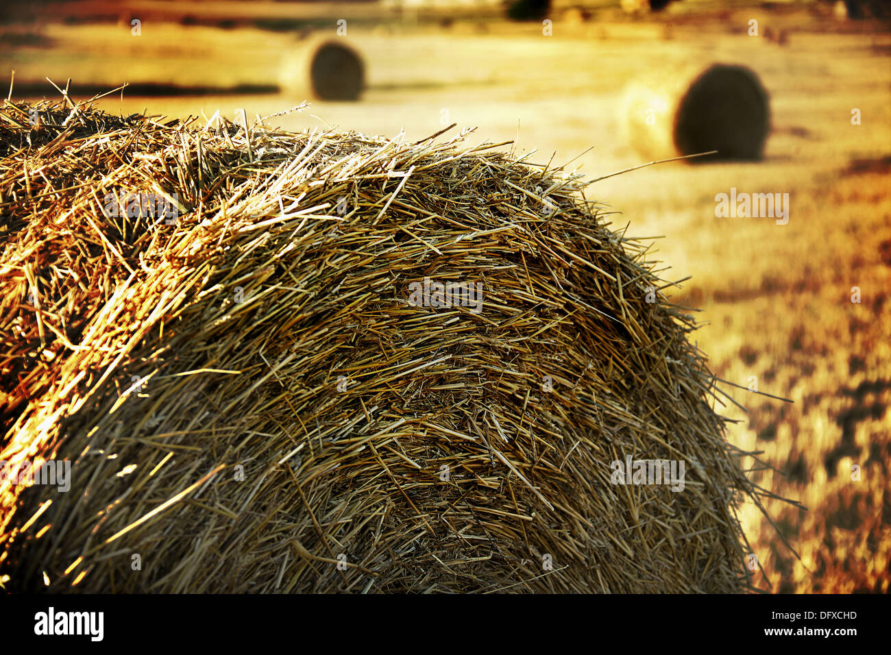 Straw ball hi-res stock photography and images - Alamy