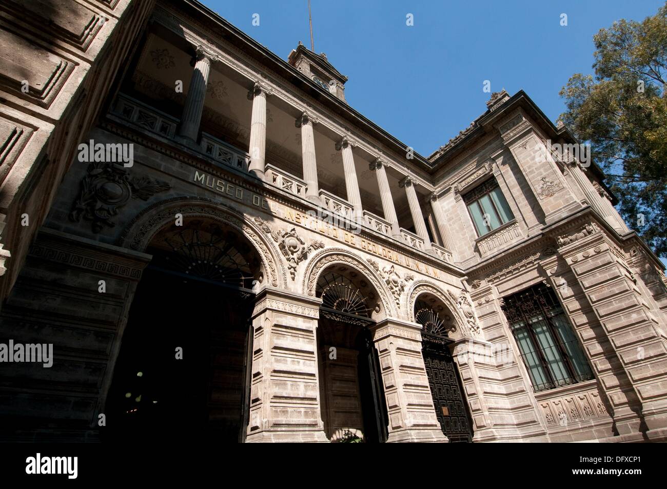 Geology museum mexico city hi-res stock photography and images - Alamy
