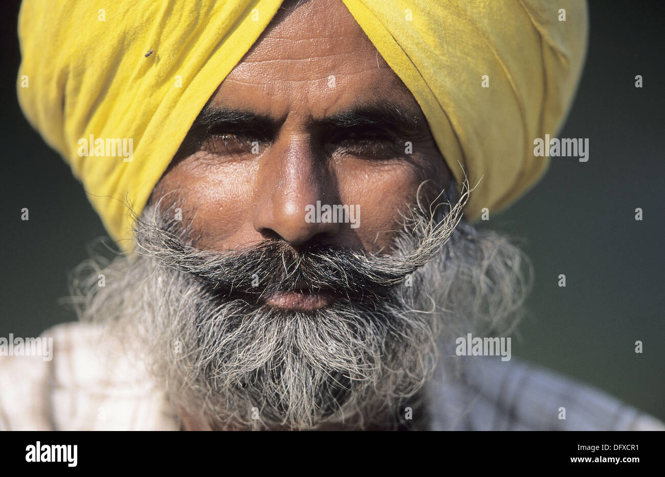 India indian man male hi-res stock photography and images - Alamy