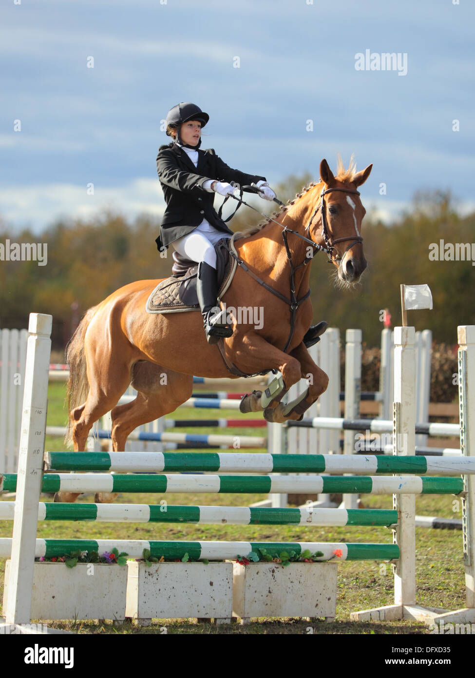 Show jumping rider hi-res stock photography and images - Alamy