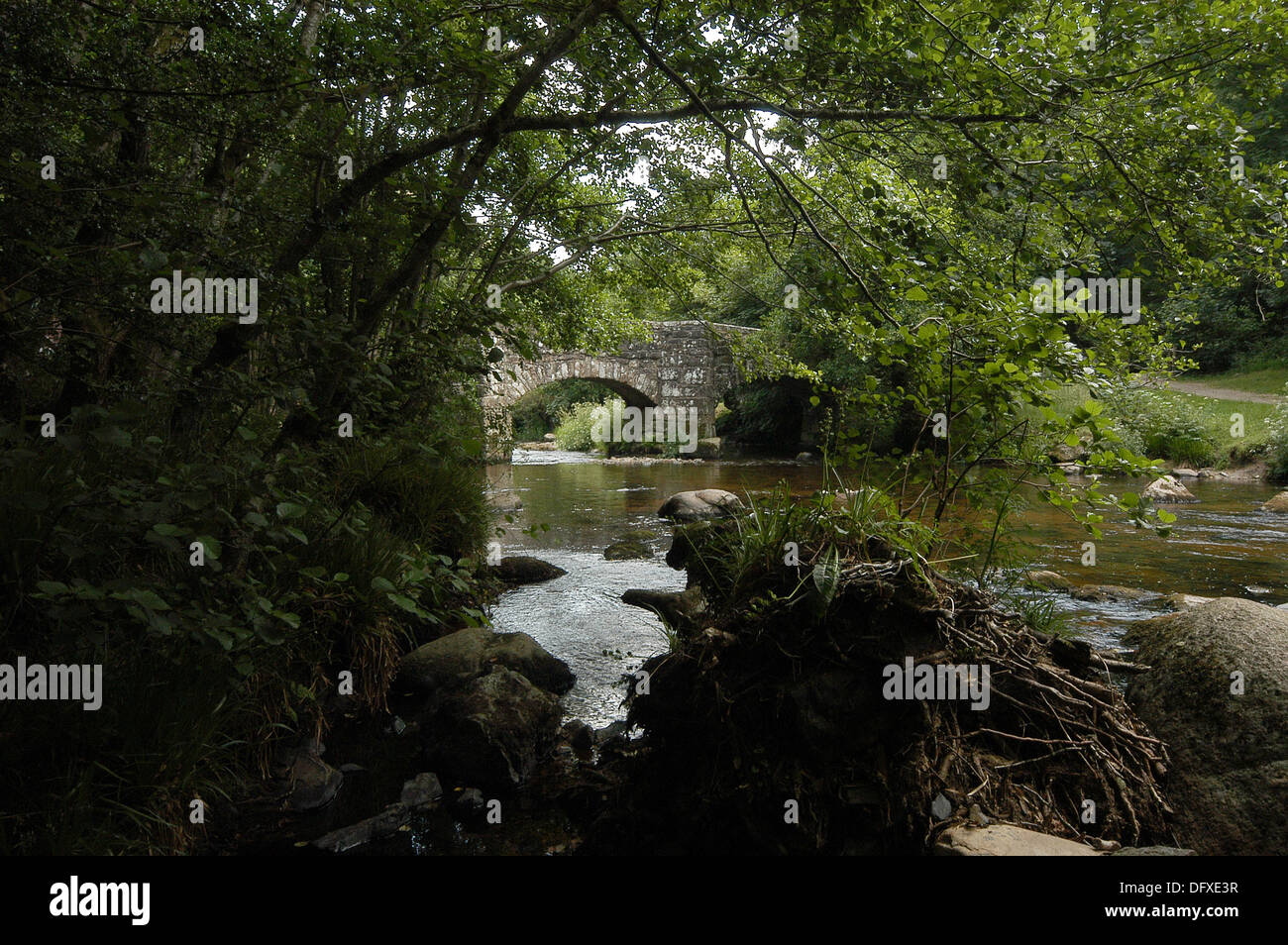 Fingle bridge the 17th century three arched Packhorse bridge over the ...