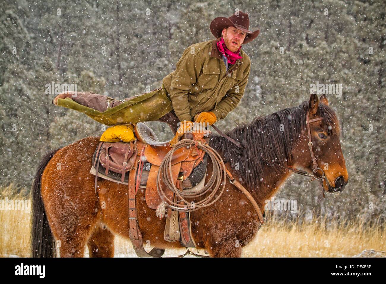Cowboy mounting horse hi-res stock photography and images - Alamy