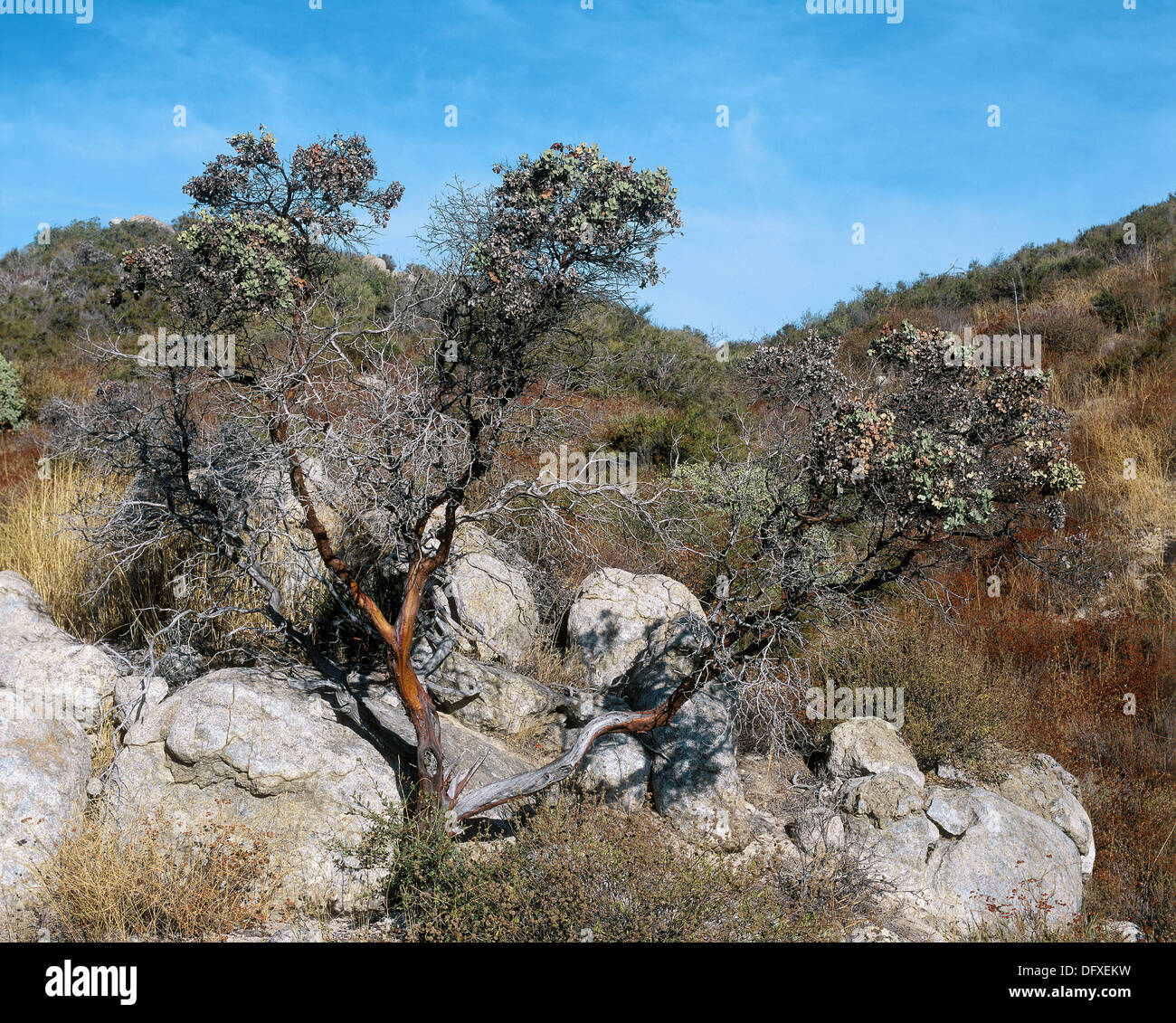 Ortega Highway High Resolution Stock Photography and Images - Alamy