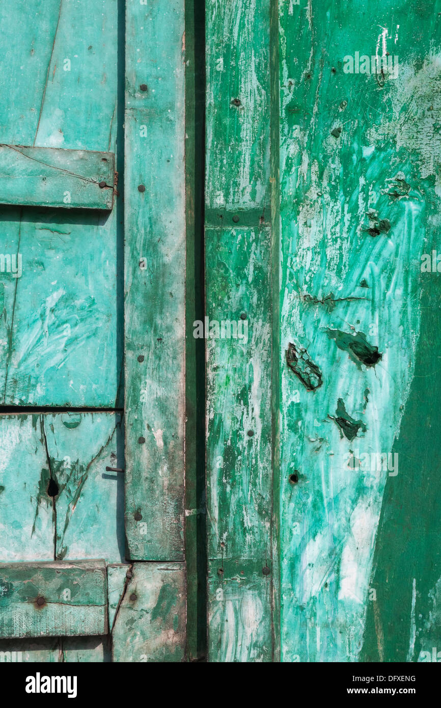 India, Rajasthan, Jaipur, old green-painted door, tarnished texture ...