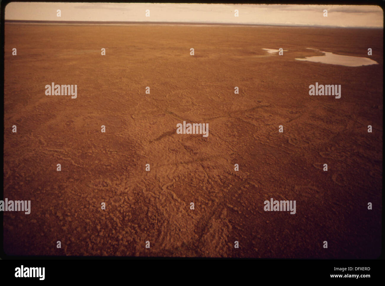 The bleak panorama of the Arctic tundra highlights the harsh, dying ...