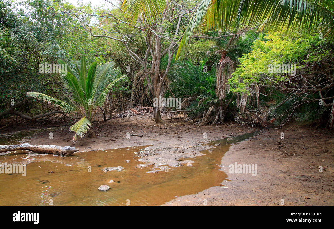 Indian ocean comoros mayotte island hi-res stock photography and images ...
