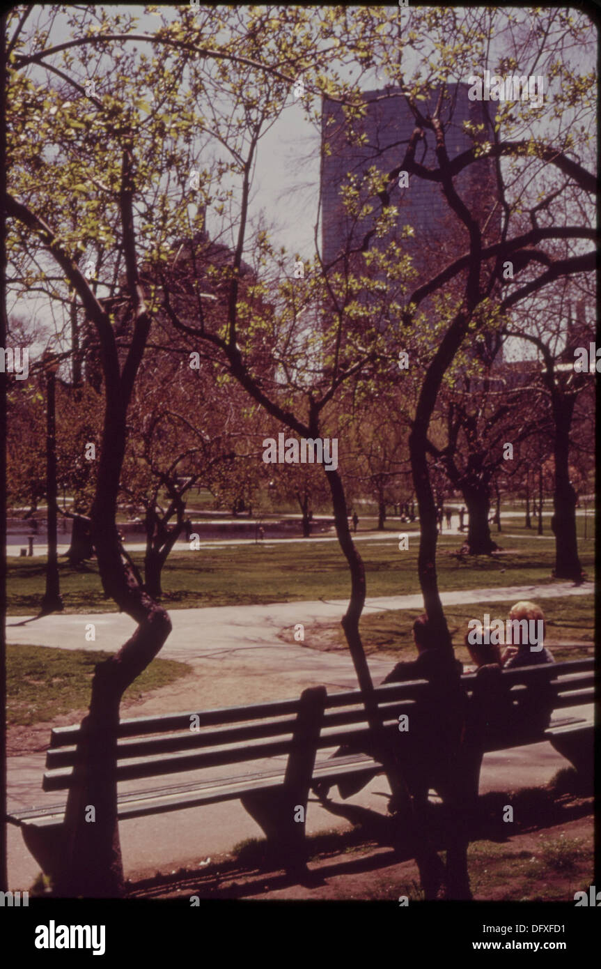 The Common and the adjacent public gardens in Boston offer green spaces ...