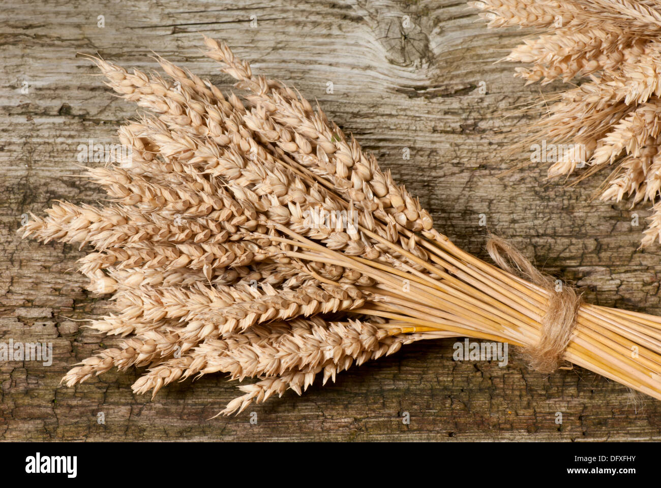 Sheaf of wheat barley malt grain hi-res stock photography and images - Alamy