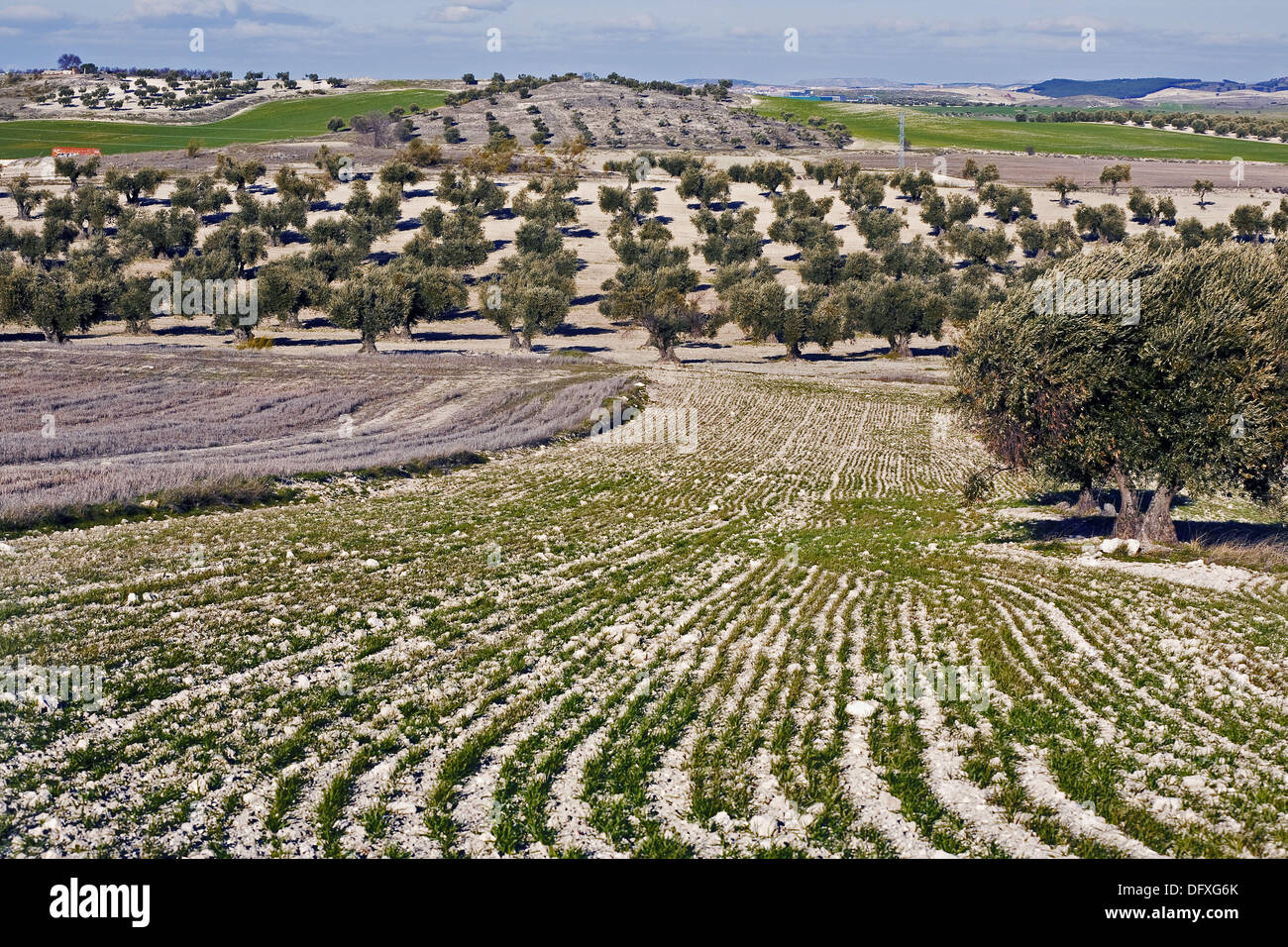 Pinto madrid hi-res stock photography and images - Alamy