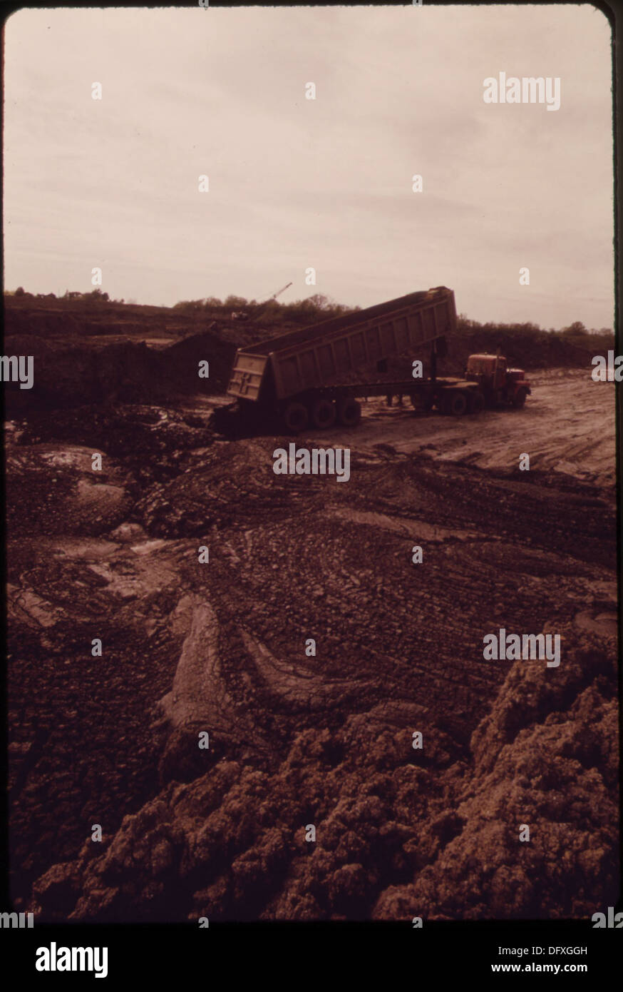 This photograph shows the reclamation efforts on strip-mined land near ...