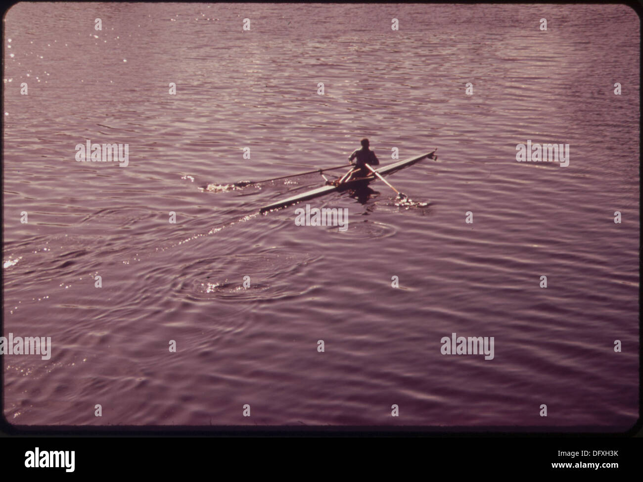 A sculling team practices on the Charles River near Harvard University ...
