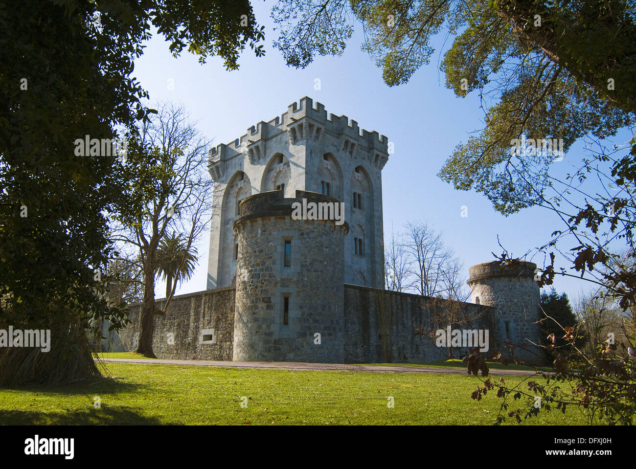 Arteaga tree hi-res stock photography and images - Alamy