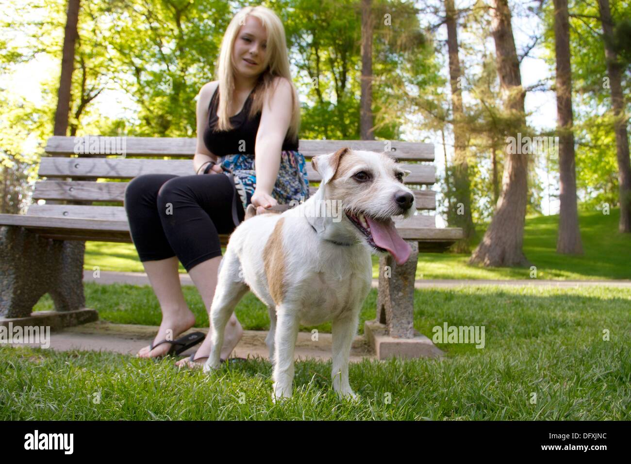 Portrait of a lady with a dog hi-res stock photography and images - Alamy