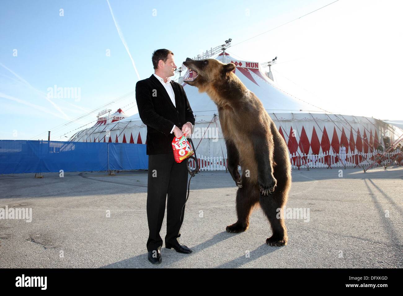 Circus bear hi-res stock photography and images - Alamy